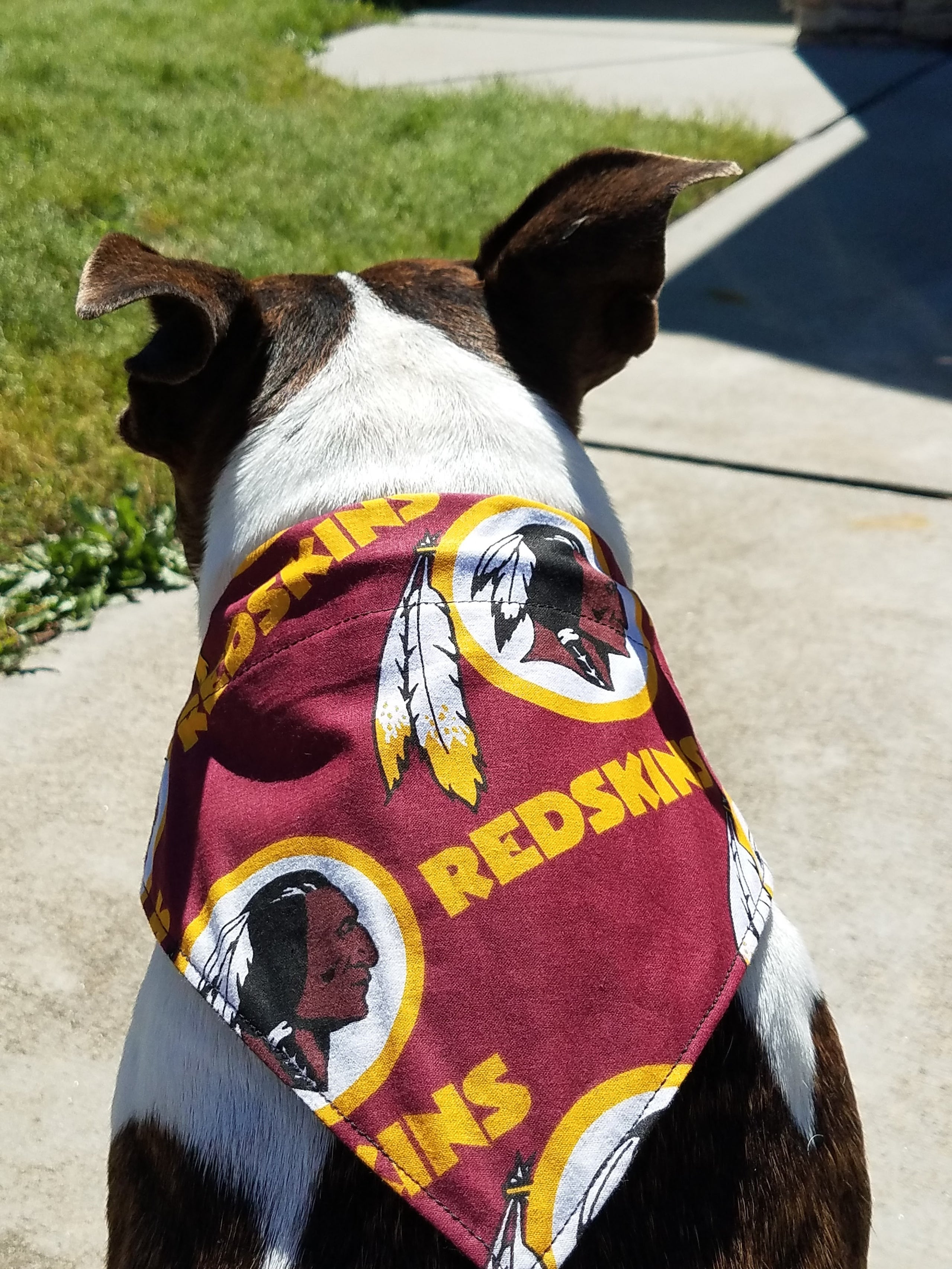 Redskins dog bandana store